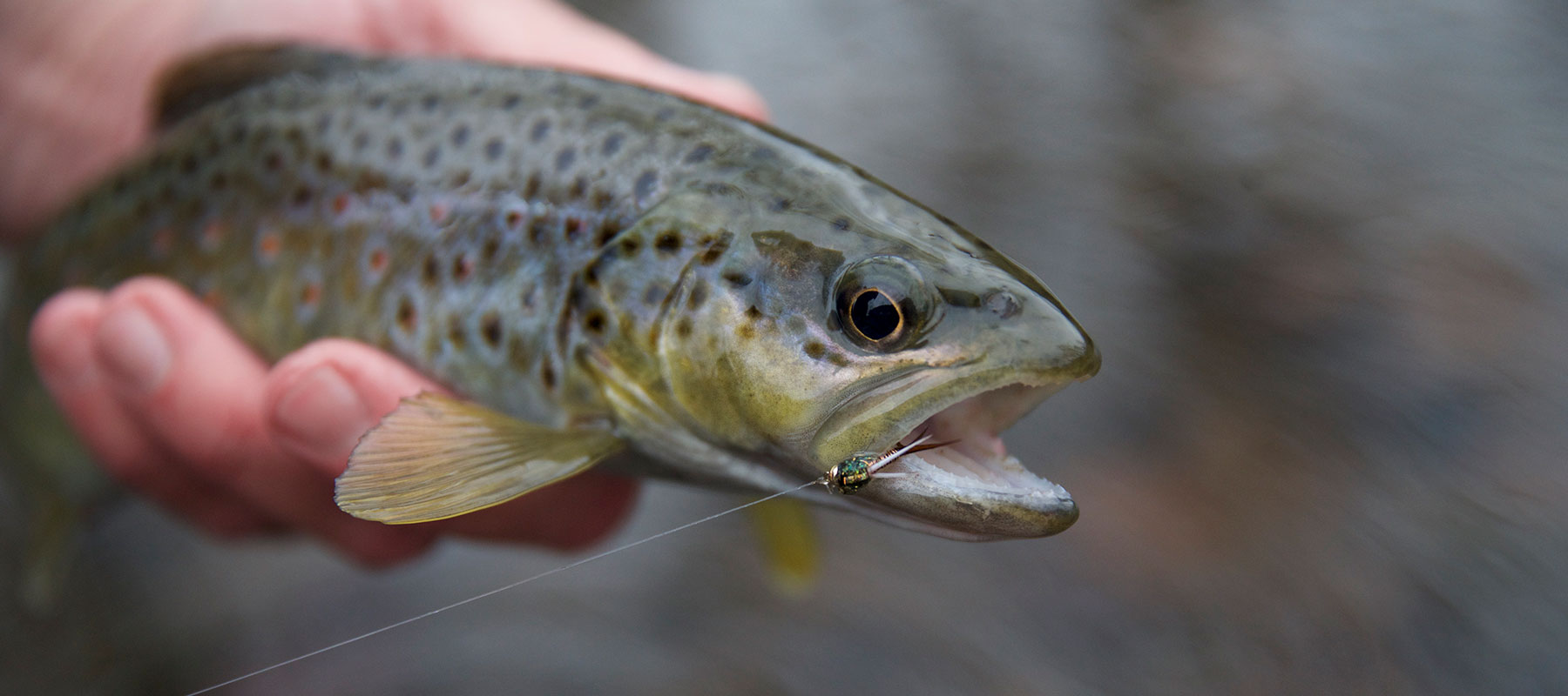 Fly Fishing Videos - Ben Turpin – Custom Rod Building and Guide Service